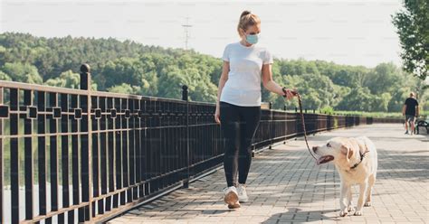 얼굴에 의료 마스크를 쓴 백인 여자는 여름 더운 날 공원의 호수 근처에서 개와 함께 걷고 있다 사진 Unsplash의 소녀와