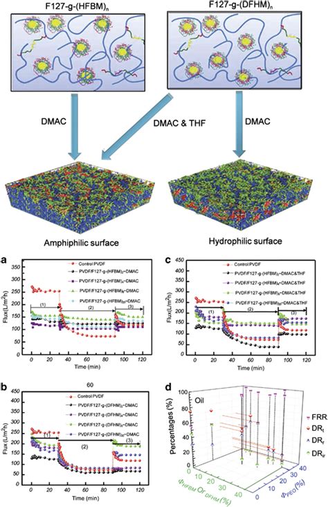 Amphiphilic Or Hydrophilic Surface Prepared By Surface Segregation Download Scientific Diagram