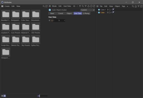 Calling An Existing User Data Preset Onto A Python Tag