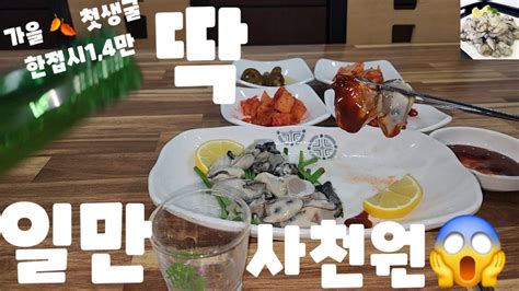 가을첫굴회 한접시14만😱혼술맛집먹방먹방리뷰혼술리뷰대전맛집대전추천데이트여행연인소맥이슈뉴스실시간생방송레시피자영업소상공혼술먹방균세상굴회