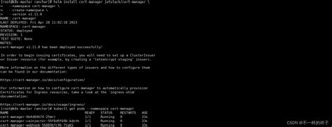 k8s集群中部署rancher v2 7高可用集群 rancher高可用部署 csdn博客