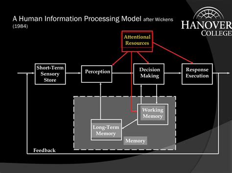 Ppt A Human Information Processing Model After Wickens 1984 Powerpoint Presentation Id 2753095