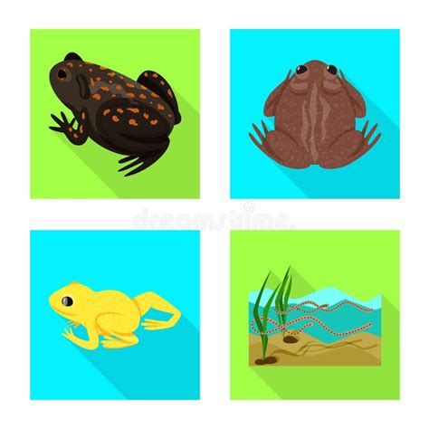 Isolated Object Of Wildlife And Bog Icon Collection Of Wildlife And Reptile Stock Vector