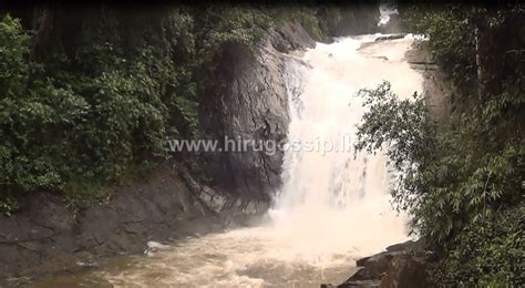 විවාහ වෙලා මාස 6 යි බිරිඳගේ උපන් දිනය වෙනුවෙන් මිතුරන් සමඟ පාටි දමා මාකෙළි ඇල්ලේ දියරකුසාගේ