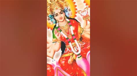 Laxmidevi Short Video Youtube