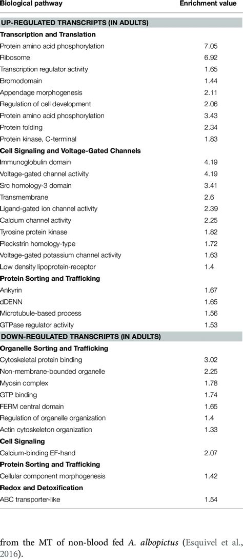 Categorization Of The Enriched Functional Clusters Of Transcripts In
