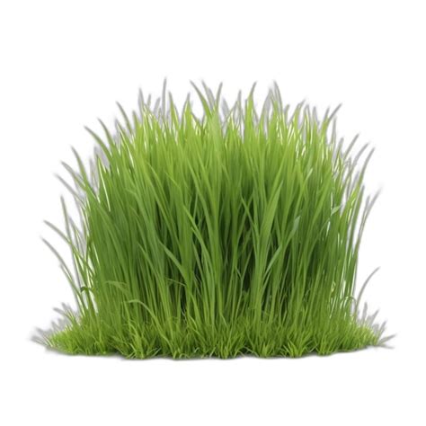 Premium Psd Grass Psd On A White Background