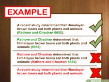 MLA In Text Citations Introduction To Literature