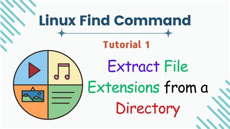 Bash Script: Listing Unique File Extensions in a Directory - YouTube