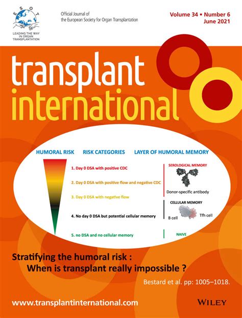 Cholangiocyte Organoids As A Cell Source For Biliary Repair Velazquez 2021 Transplant
