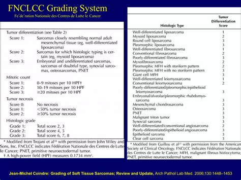 Soft Tissue Tumor Ppt
