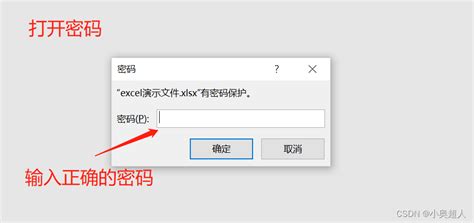 【excel技巧】加密excel文件的三种方法excel打开加密 Csdn博客