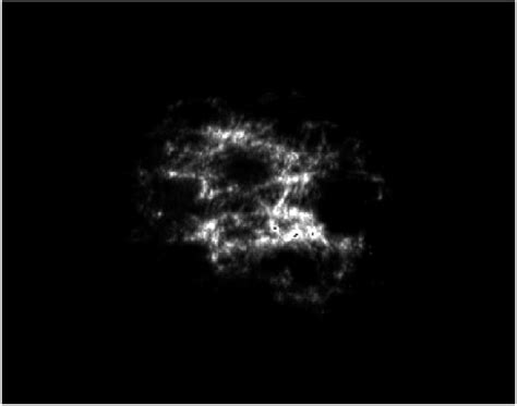 Intensity Distribution In The Far Field Of The Diverging Beam After The Download Scientific