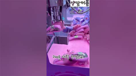 잔망루피🩷🩷🩷 Shorts Youtube