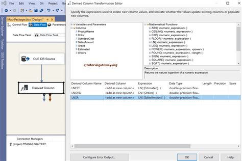 Ssis Ln Function