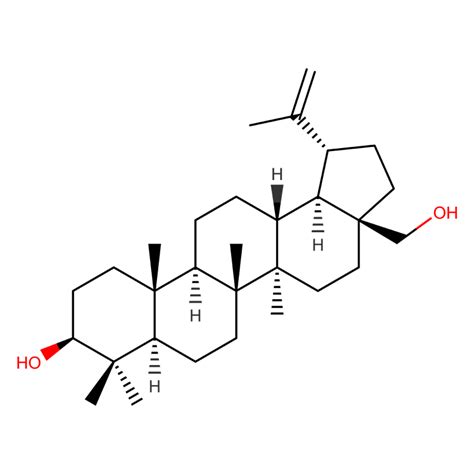 Extraction and Isolation of Natural Betulin | NSTchemicals.com