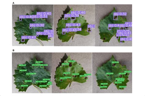 The Comparison Of Detection Results Before And After The Improvement