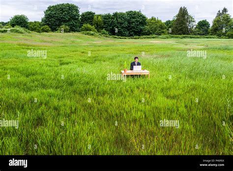 A Businessman Sitting At A Desk In A Green Grassy Field Working On A Computer Green Business