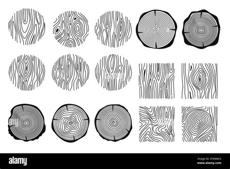 Wooden Texture Hand Drawn Wood Tree Rings Graphics Round Square Elements Outline Tree Rings