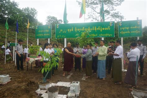 အမ်းမြို့နယ်၌ မိုးရာသီ သစ်ပင်စိုက်ပျိူးပွဲတော် ကျင်းပ Information And