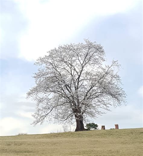 현대로템 채용 정보 And 주가 분석