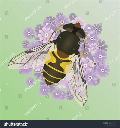 Hover Wasp Over 37 Royalty Free Licensable Stock Vectors And Vector Art Shutterstock
