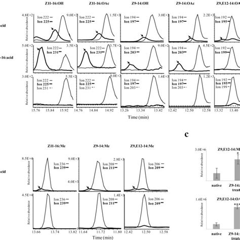 Biosynthetic Pathway For Sex Pheromone Ofspodoptera Exigua Proposed