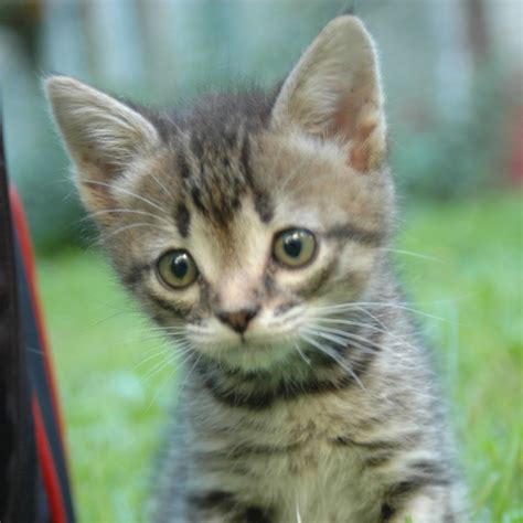 Michail Tsukerman Youtube