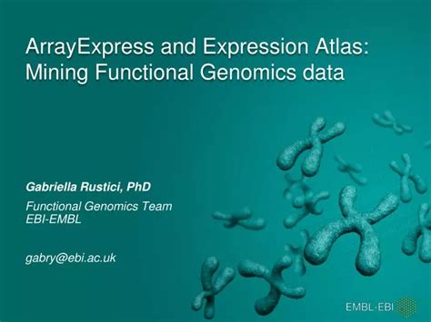 Ppt Arrayexpress And Expression Atlas Mining Functional Genomics Data Powerpoint Presentation