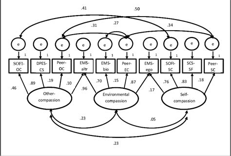 Figure 1 From The Structure And Development Of Dispositional Compassion In Early Adolescence