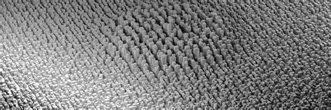 Geometry Nodes Procedural Grid City 293 Experimental Rblender