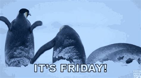 Friday Its Friday  Friday Its Friday Weekend Discover And Share S