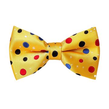 Colorful Polka Dot Bow Tie Isolated On White Background Bow Tie