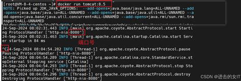 docker配置阿里云镜像加速器，拉取tomcat，使用云服务器访问tomcat容器 docker 配置阿里云加速 csdn博客