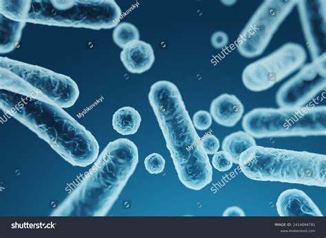 Enterobacteriaceae Gram Negative Rod Shaped Bacteria Part Intestinal Stock Illustration