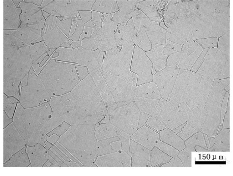 Optical Micrograph Of The Microstructure Before Compression 1200 °c 9