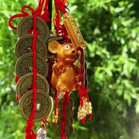 Amuleta Sobolan Cu Desaga Banilor Si 8 Monede Chinezesti Sau Ardei Ideograme Pentru Bunastare