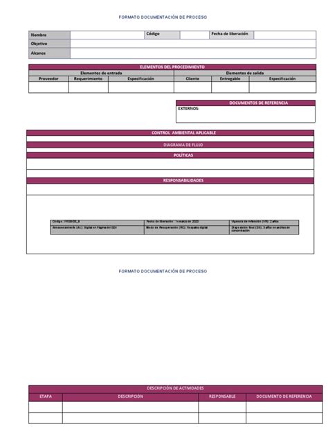 Formato Para Documentar Procesos Pdf Informática
