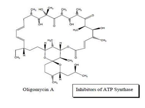 Uncouplers Of Oxidative Phosphorylation Pptx