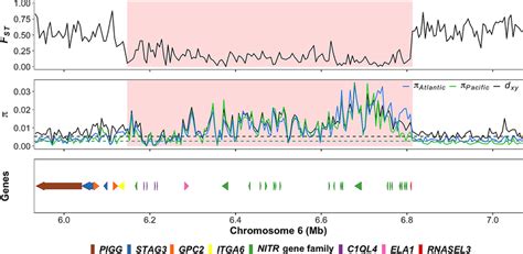 Zoomed In Plots Of A High Diversity Region On Chromosome 6 The First