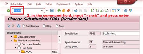how to debug fi validations and substitutions