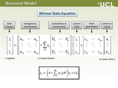 Ppt Dynamic Causal Modelling For Fmri Theory And Practice Powerpoint Presentation Id 1848641