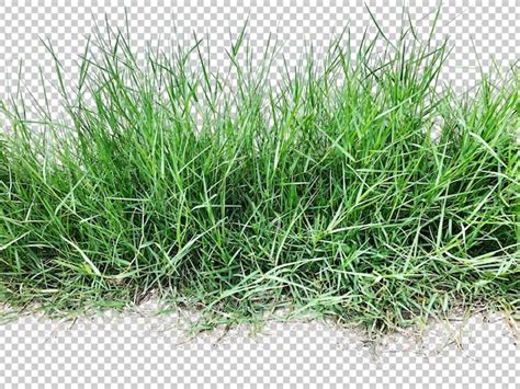 Page 49 Furry Grass Images Free Download On Freepik