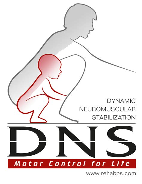Fmi Seminars Functional Movement Integration