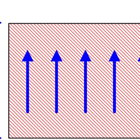 Interface Between The Rotor And The Stator Download Scientific Diagram