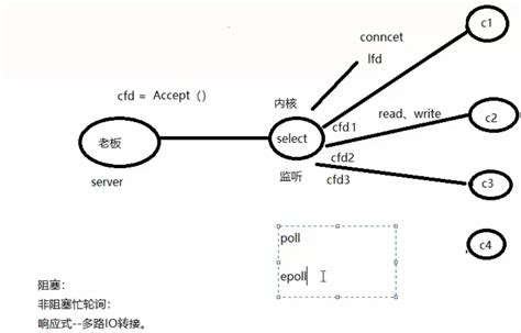 Linux网络编程 Day4 Csdn博客 Linux网络编程 Day4 Csdn博客