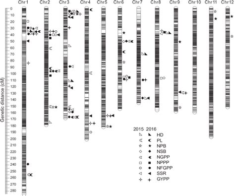 Qtls For Panicle Related Traits By High Density Linkage Map In 2015 And