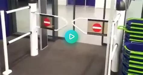 Recursive Sensor Loop  On Imgur