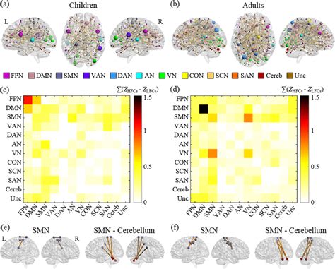 Functional Brain Networks That Differ Between The Conditions Of Copying
