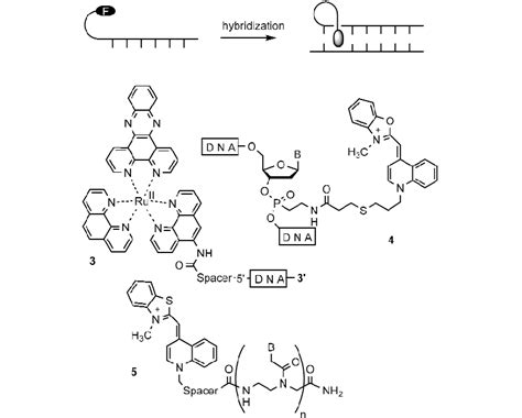 Homogeneous Dna Detection With Dna Intercalator Dye Conjugates